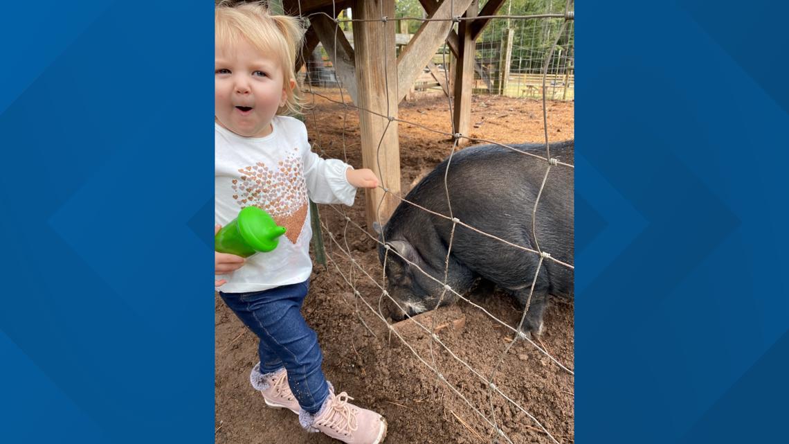 Murder of Fallon Fridley | Babysitter, boyfriend plead guilty | 11alive.com