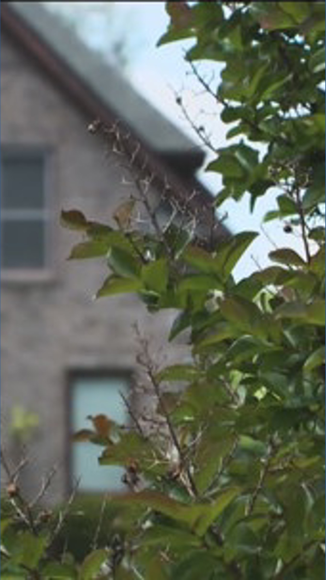 "It's just literal hate": Senator hopes new HOA legislation will help ...