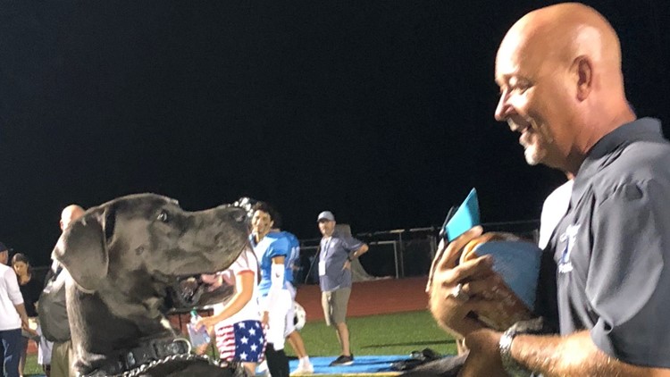 The Denmark Danes take their mascot seriously | 11alive.com