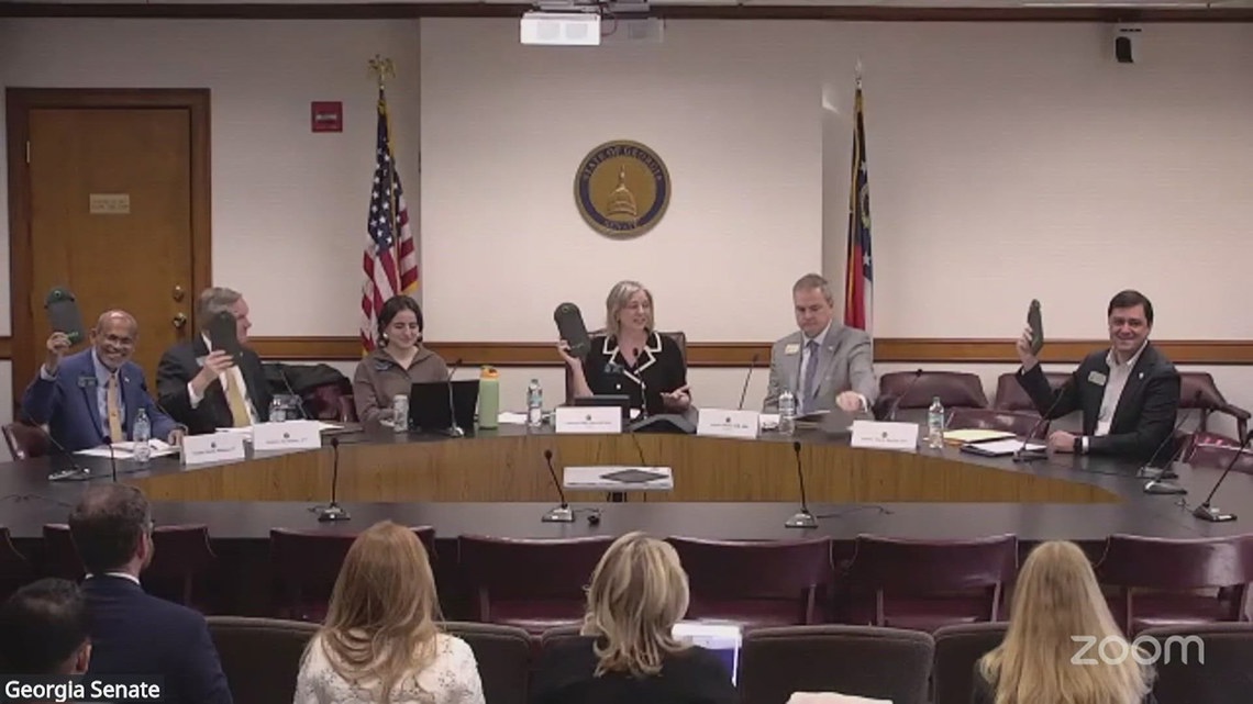 Georgia lawmakers hold meeting on AI, social media impacts on students ...