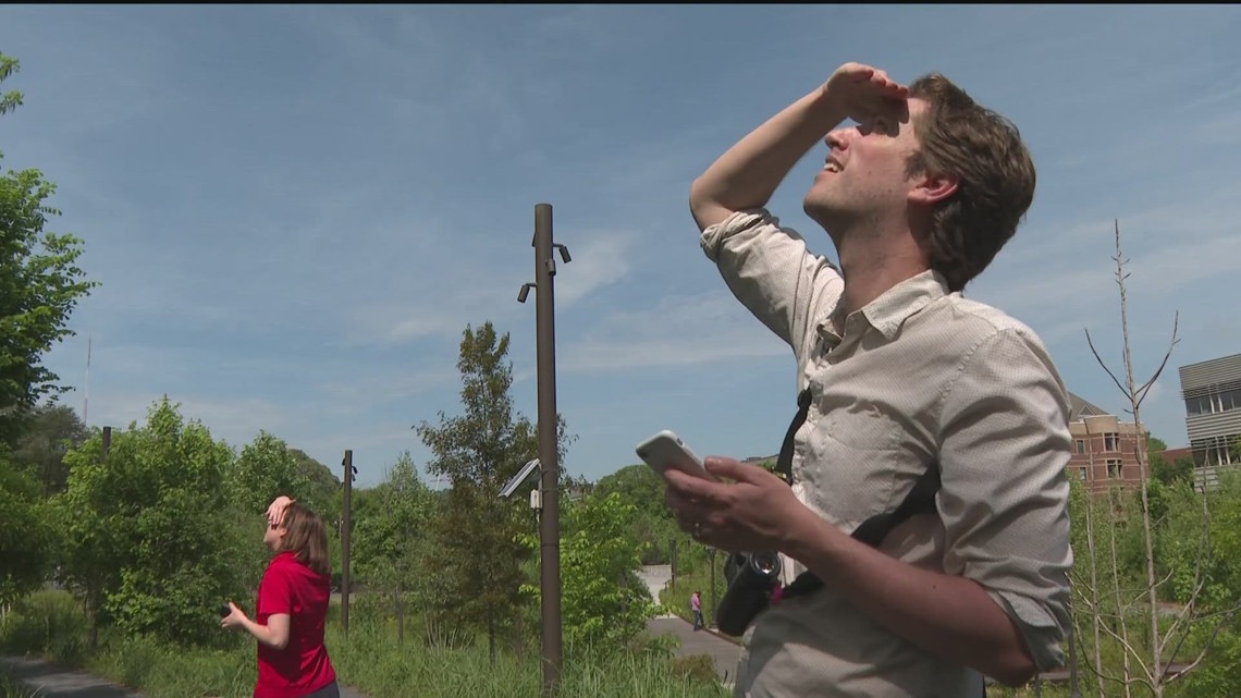Fall bird migration patterns in Georgia to watch this year | 11alive.com