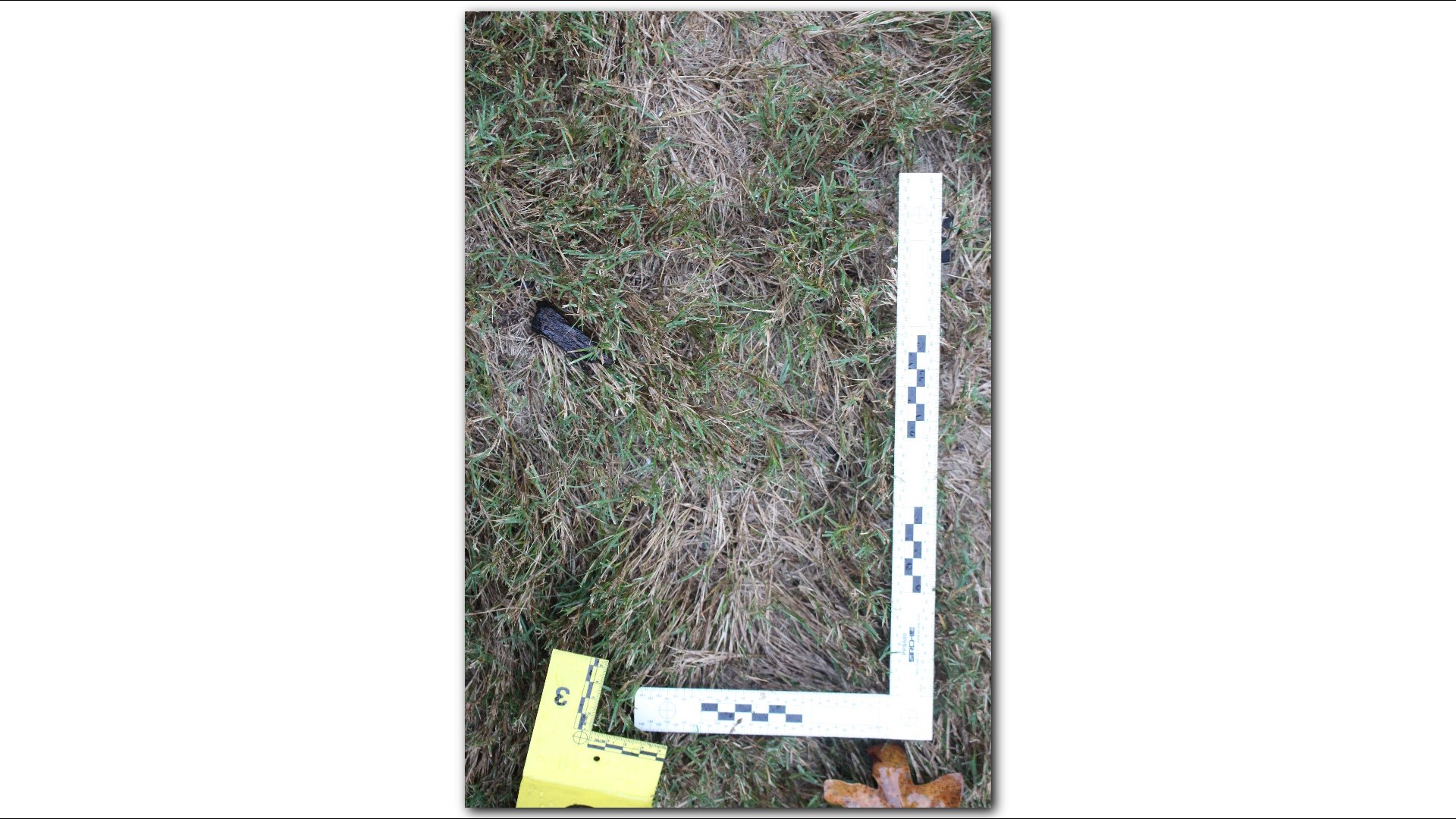 Inside the case file of the Tamla Horsford death investigation ...