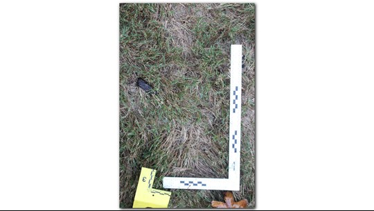 Inside the case file of the Tamla Horsford death investigation ...