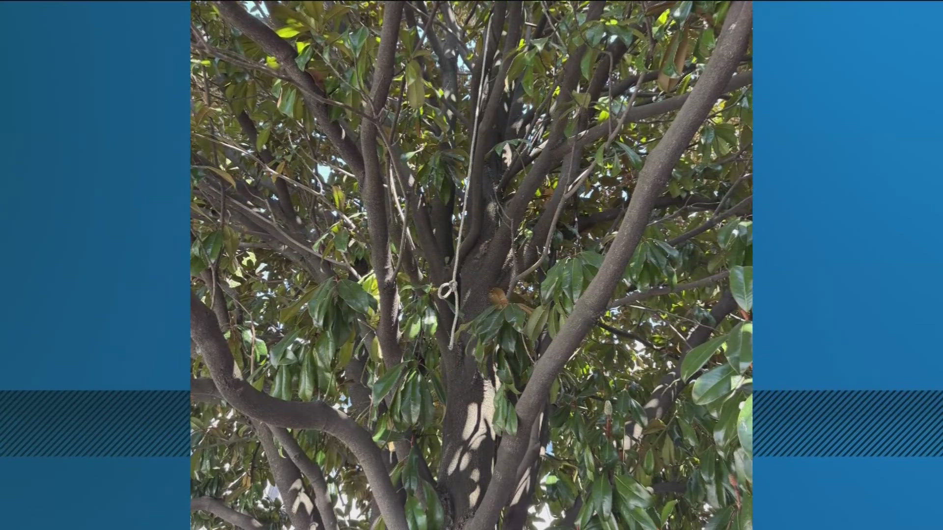 Rope found hanging from tree outside Black history museum in Atlanta ...