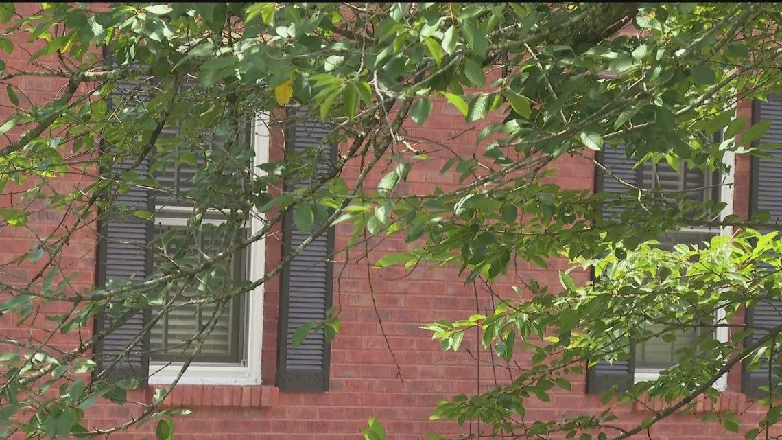 Serial squatter linked to 2024 incident in Gwinnett | 11alive.com