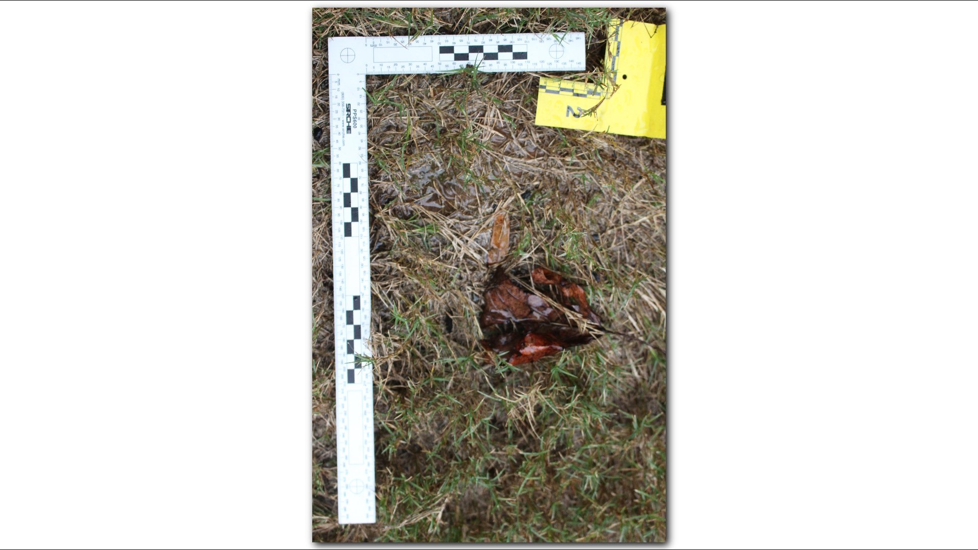 Inside the case file of the Tamla Horsford death investigation ...