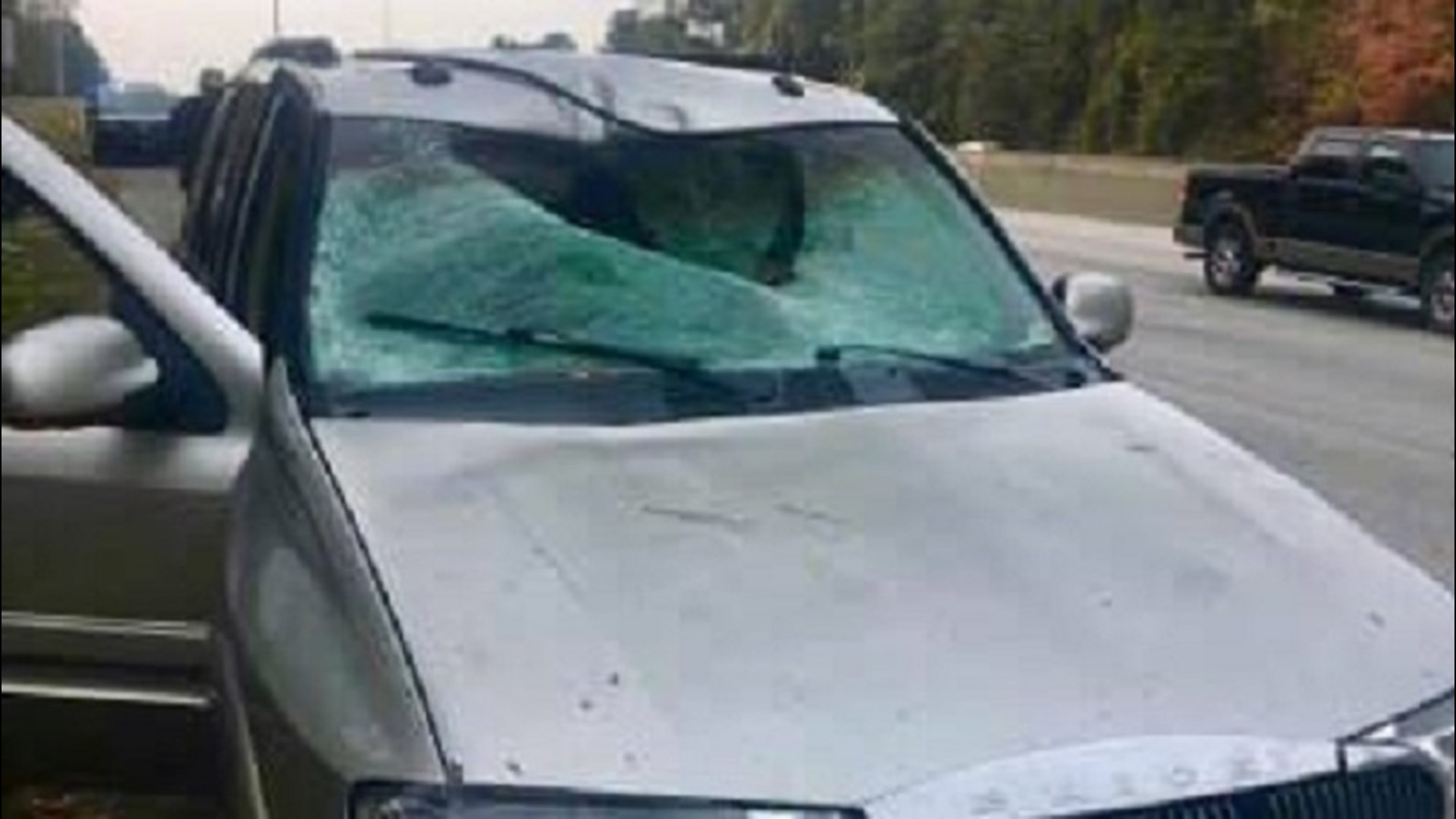 Driver survives deer slamming through windshield on Ga. 400 | 11alive.com