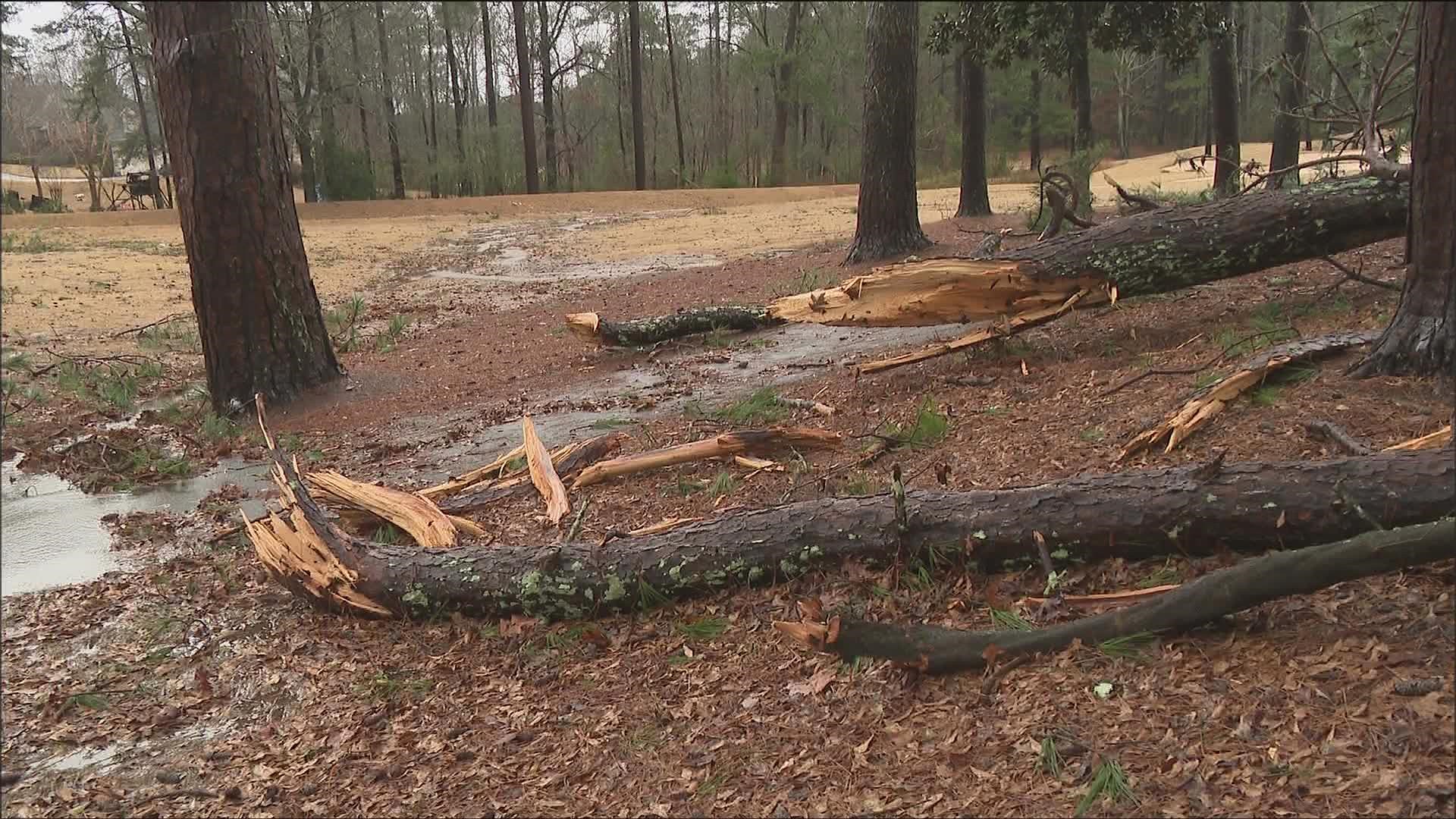 Strong storms topple trees, create sinkholes in north Georgia | 11alive.com