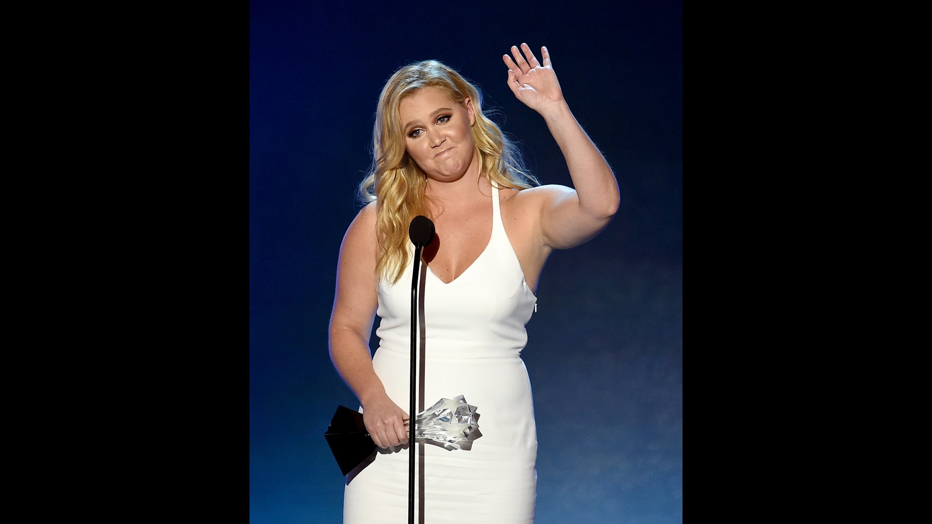 Amy Schumer bought the farm - as a gift for dad | 11alive.com