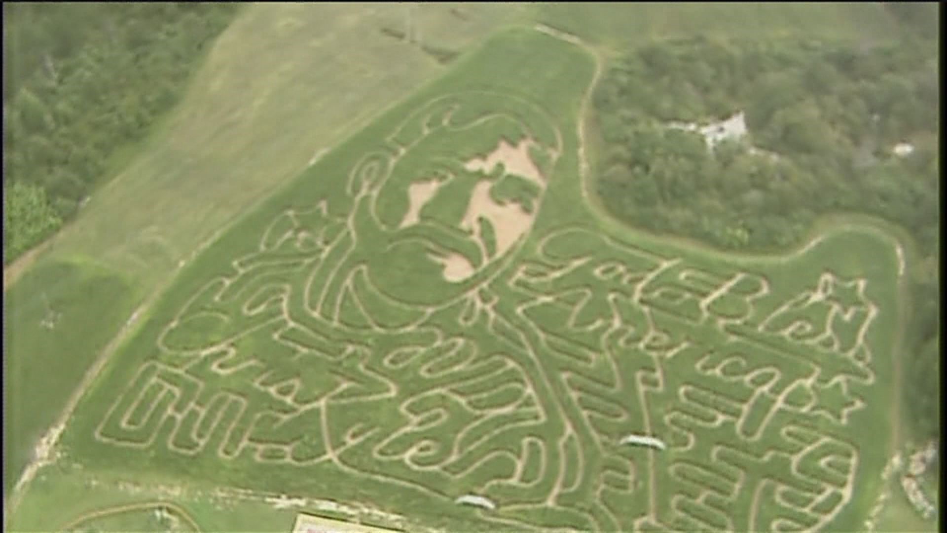 Popular metro Atlanta corn maze won't reopen this fall, organizers say ...