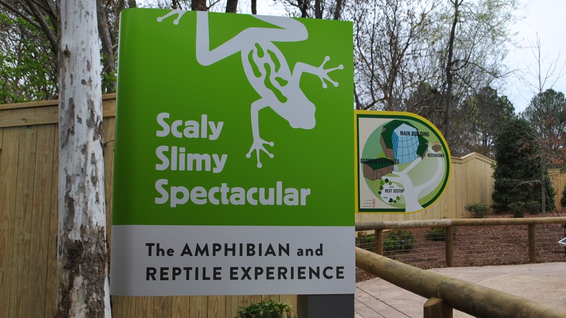 Scaly Slimy Spectacular slithers to Zoo Atlanta | 11alive.com