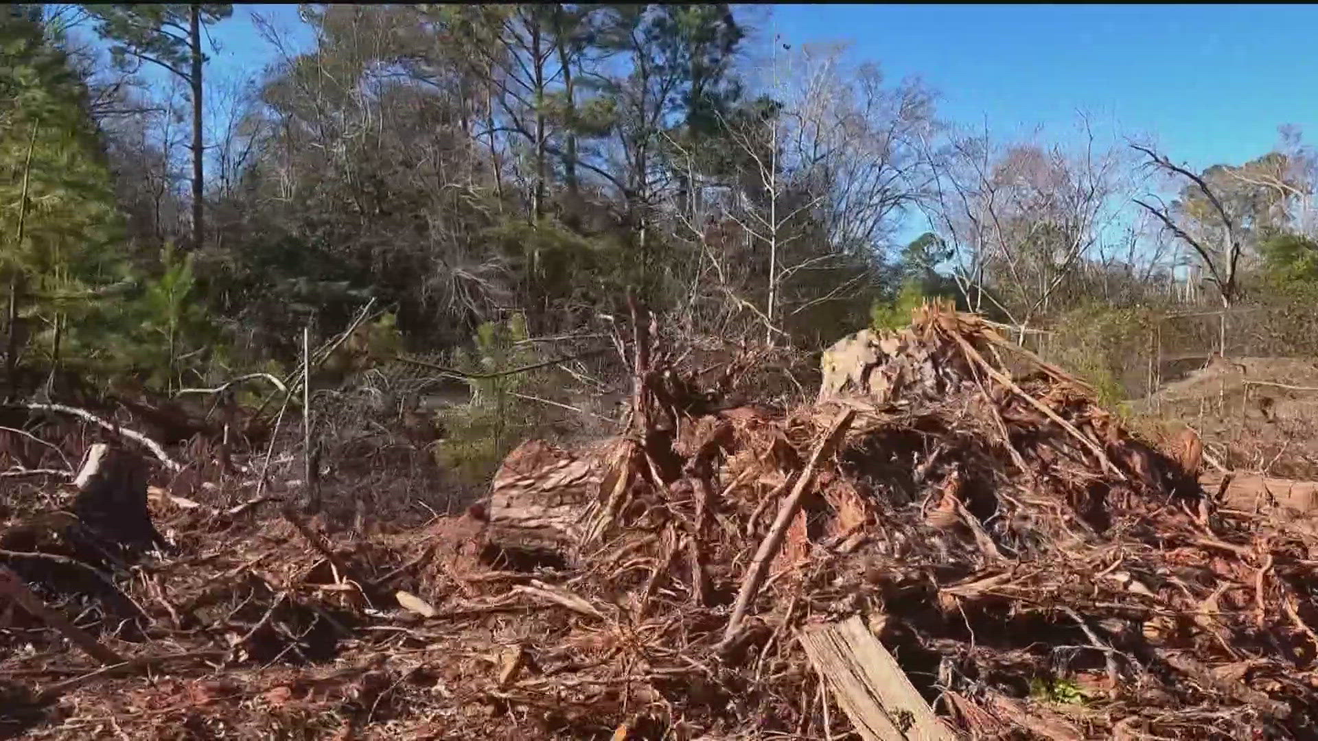 Hurricane Helen relief in Georgia | Trump denies extension | 11alive.com