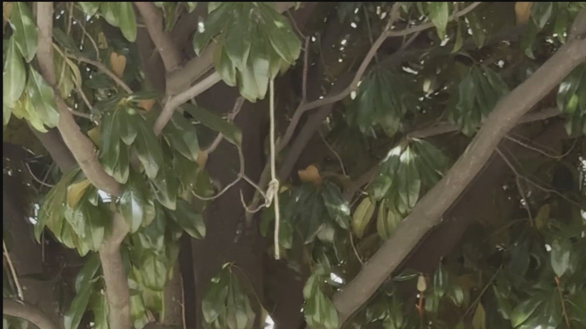 Rope found hanging from tree outside Black history museum | 11alive.com