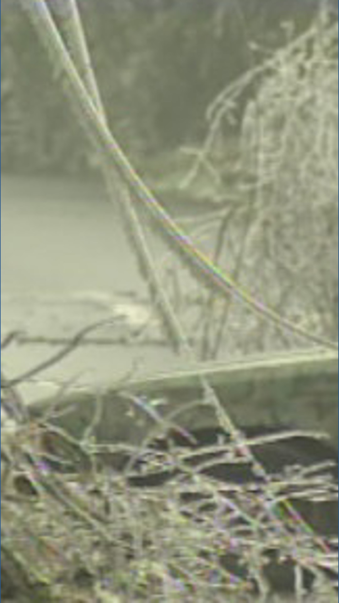 A look back at major snow storms in Atlanta | 11alive.com