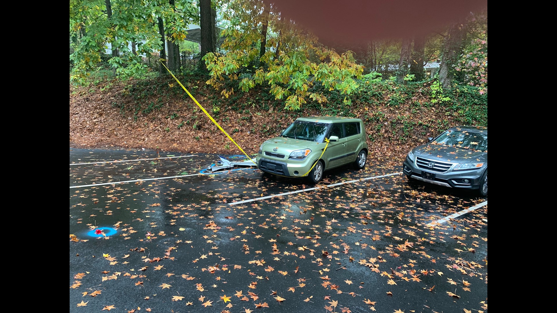 Leslie Csanyi and Scott Lowrie killed in Georgia plane crash | 11alive.com