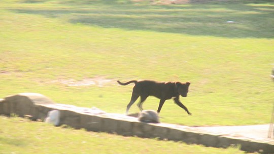 How a Sprite bottle helped solve the brutal unsolved murder of Bridget ...