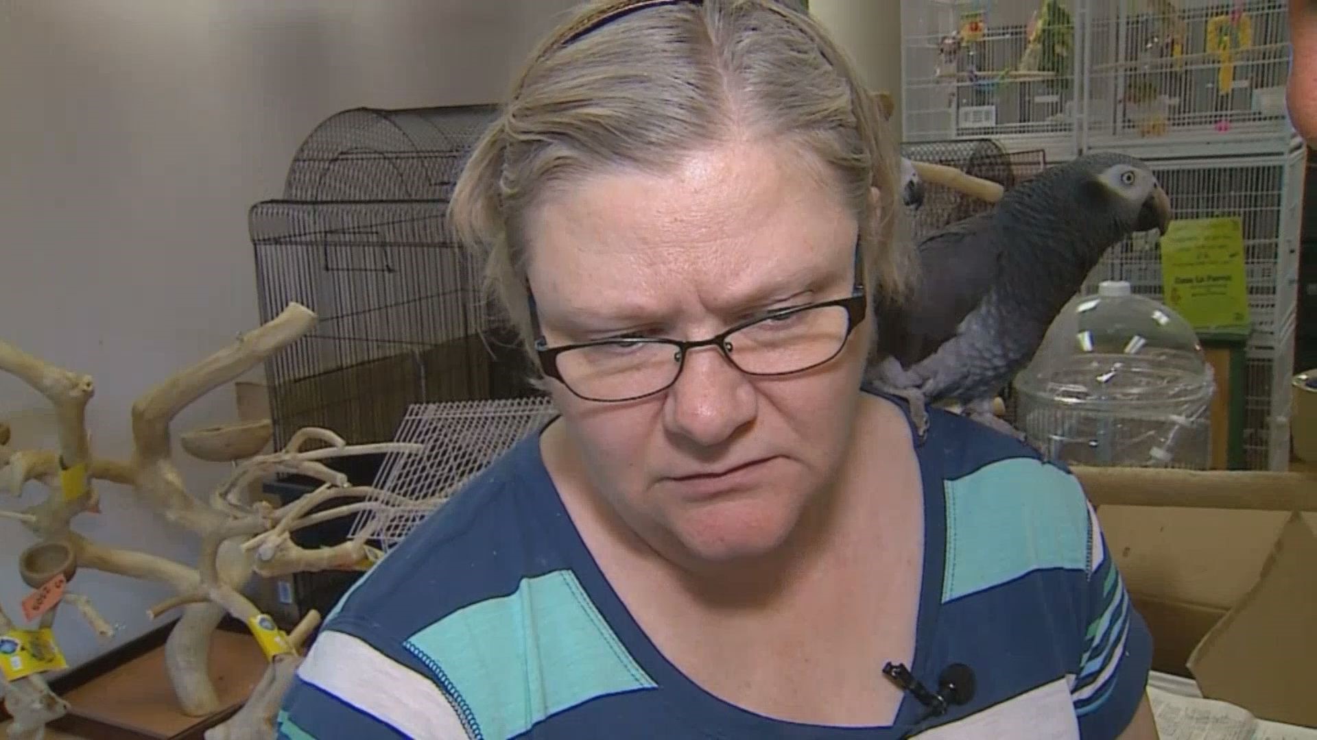 Parrot could be key witness in murder | 11alive.com
