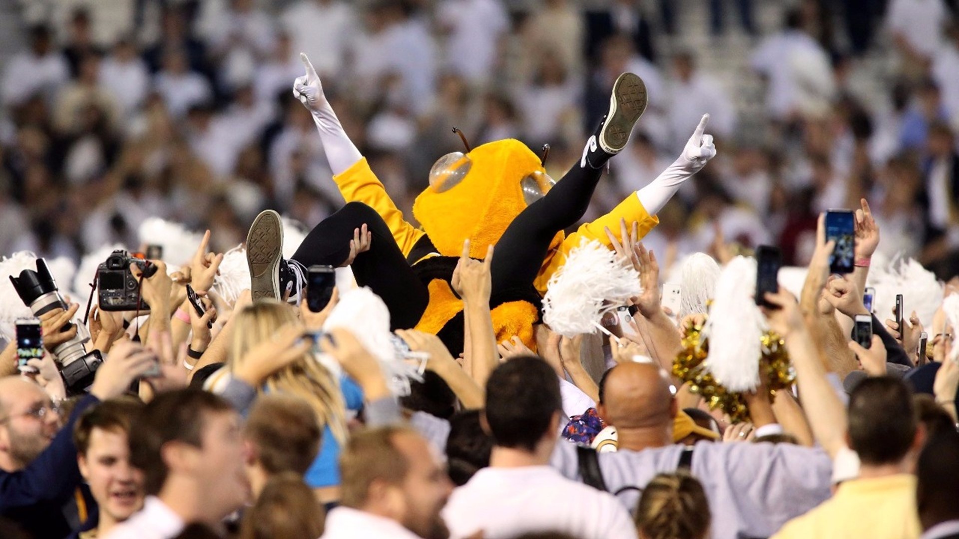 Georgia Tech mascot, Buzz wins national cheer, dance competition ...