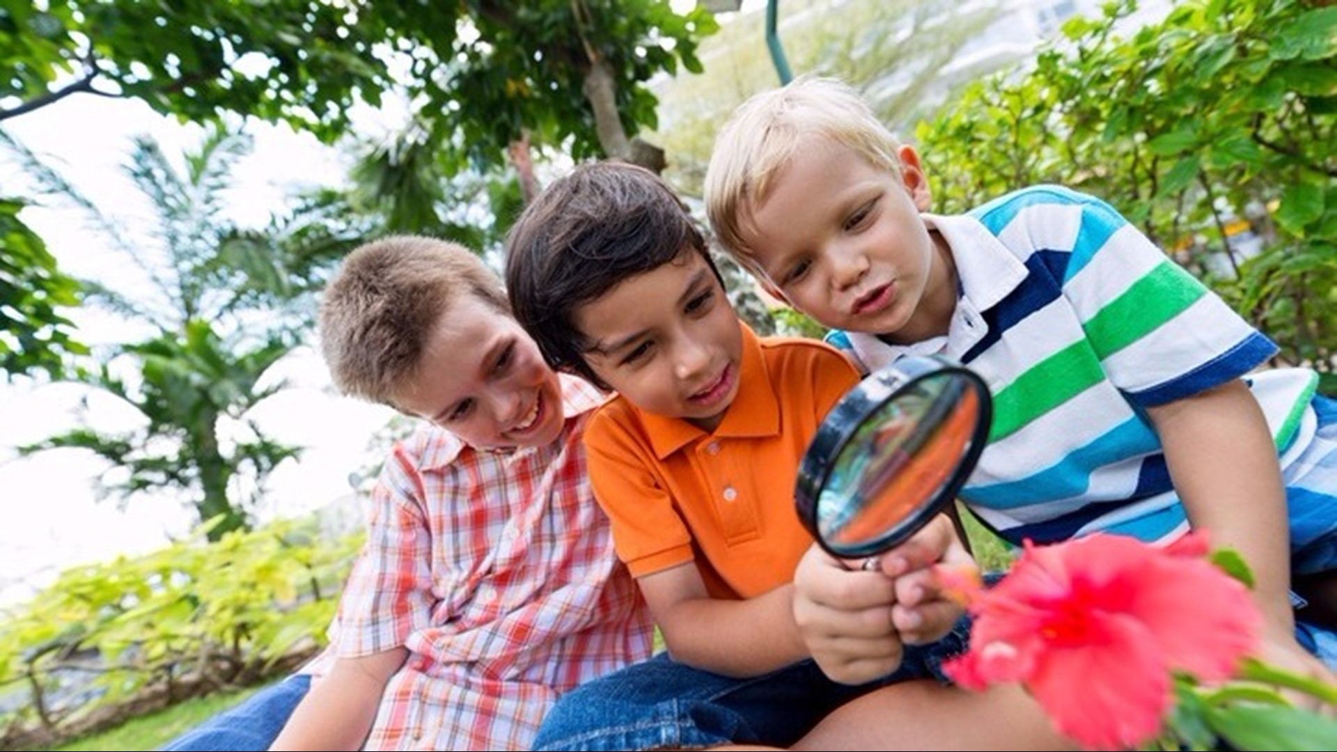 59 ideas to avoid summer brain drain | 11alive.com