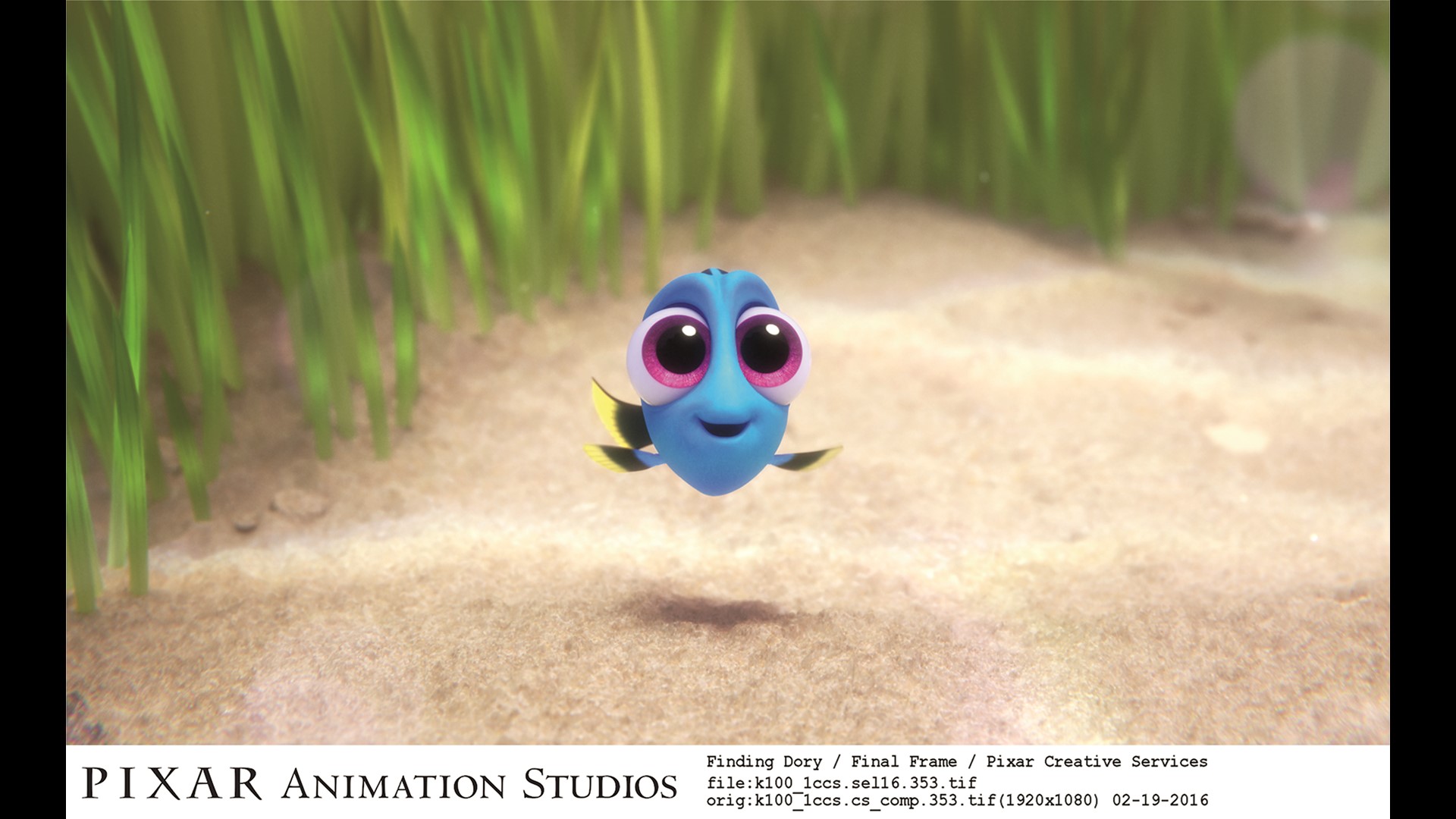 Baby Dory is just one of the secret stars of 'Finding Dory' | 11alive.com