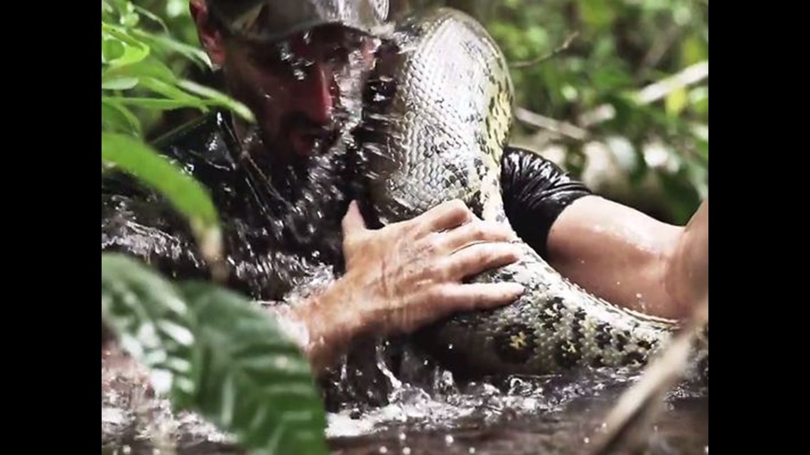 Man eaten by anaconda: 'Last thing I saw was her mouth' | 11alive.com