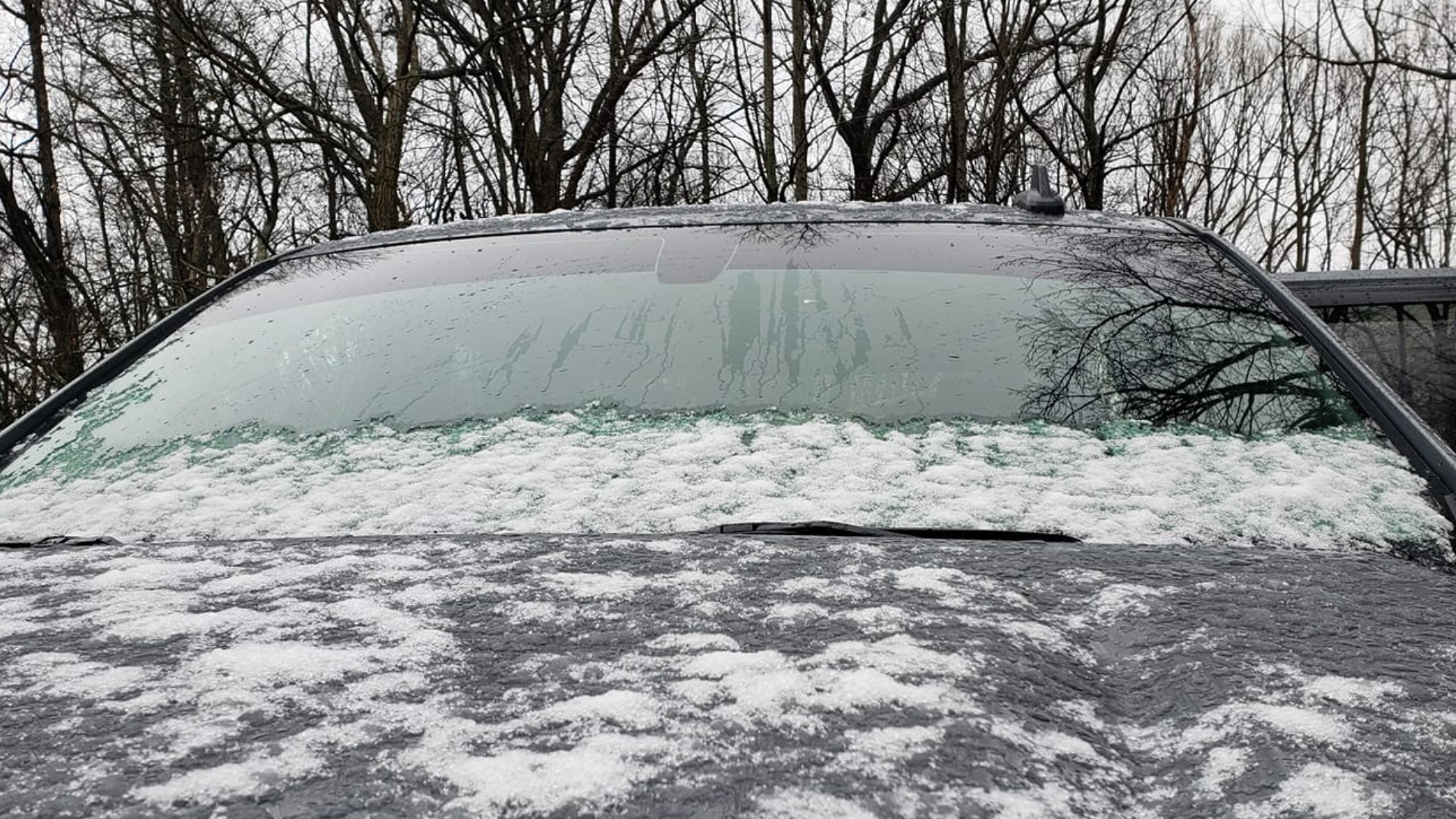 Snow in north Georgia on January 31 | 11alive.com