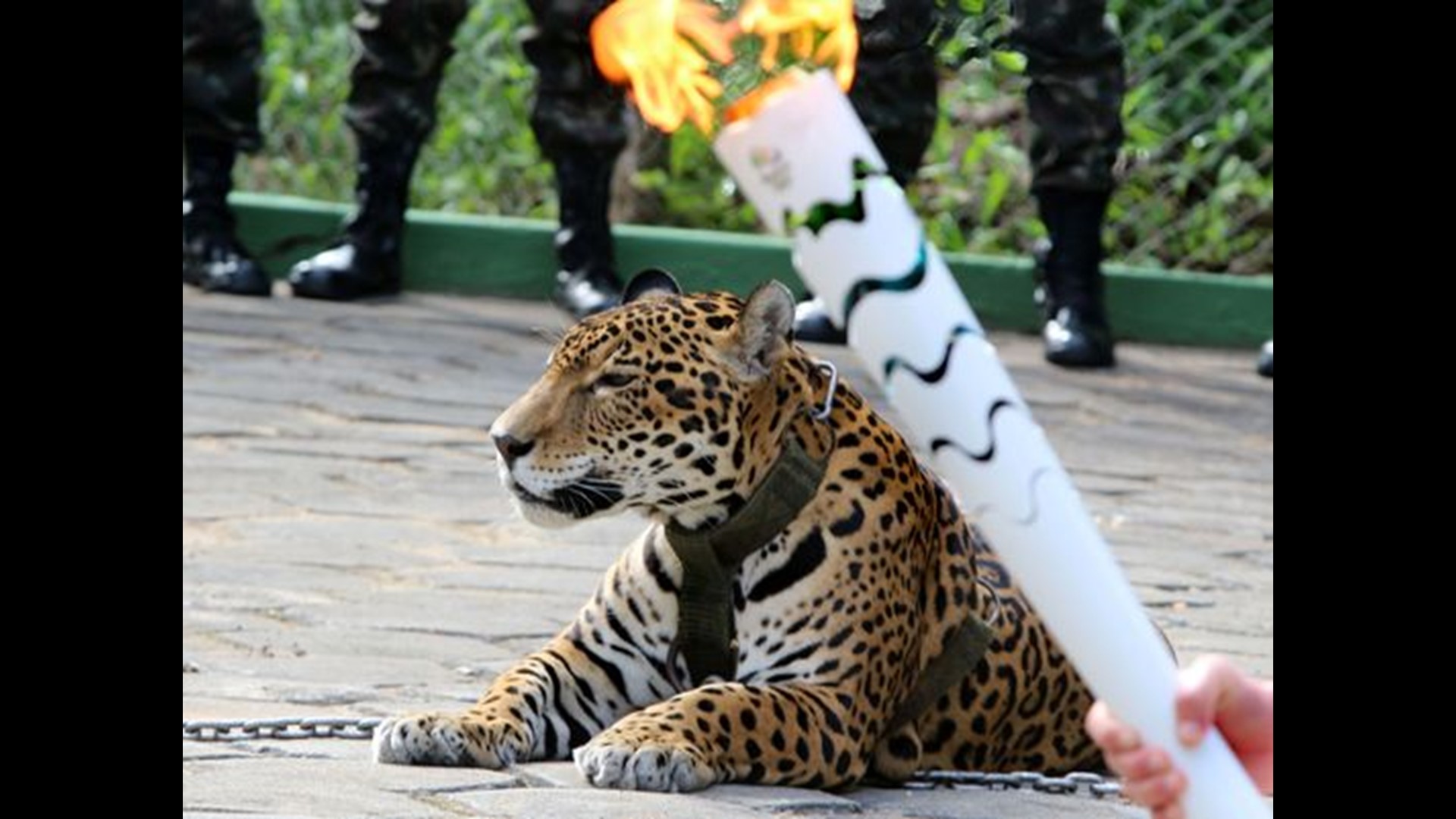 Death, destruction: 5 signs Rio may not be ready for the Olympics ...