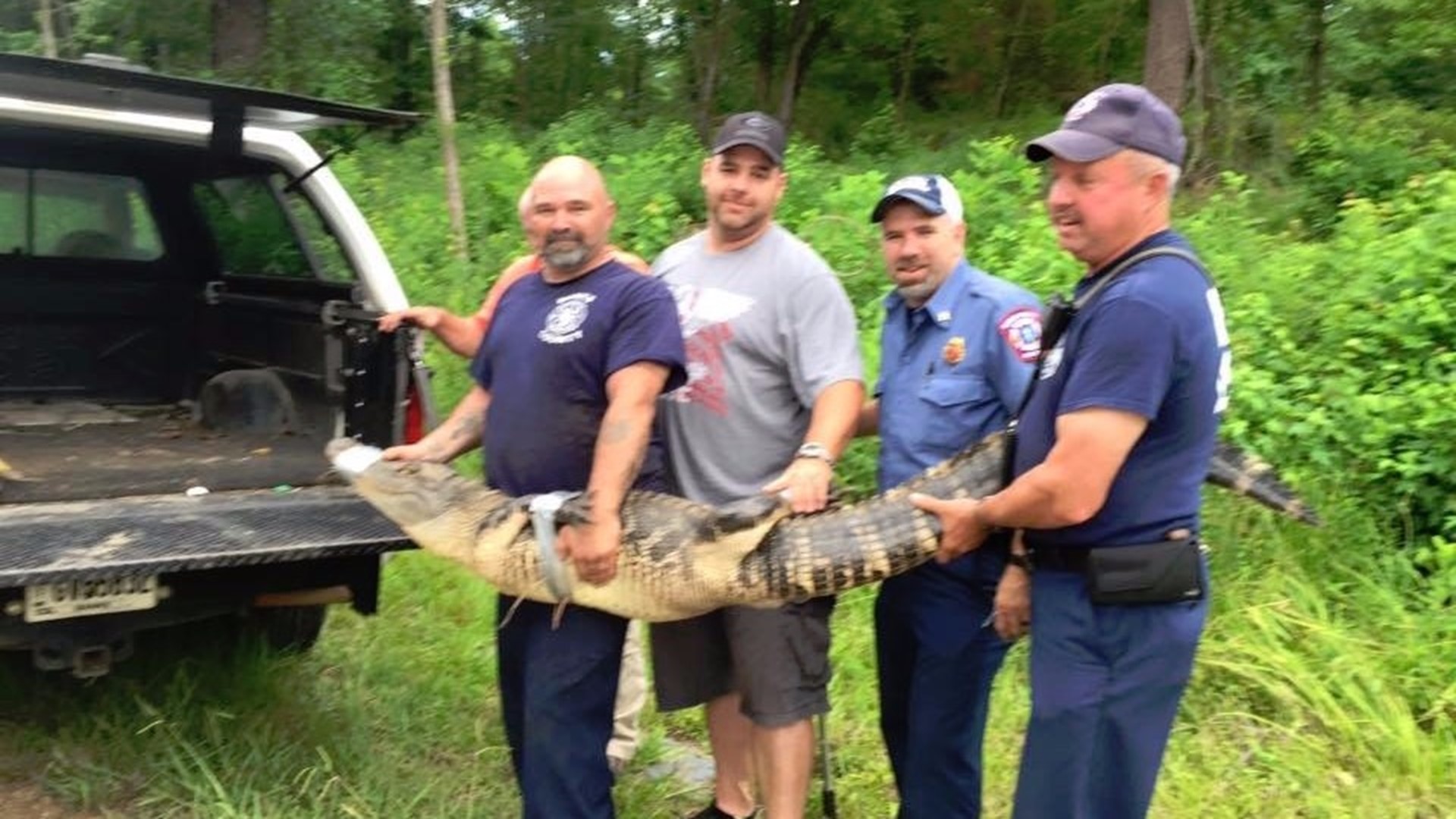 Alligator captured 75 miles northeast of Atlanta | 11alive.com