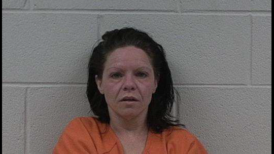 Meth crime ring bust leads to 26 arrests in north Georgia | 11alive.com