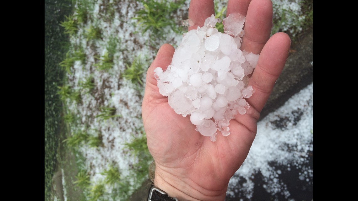 PHOTOS | Powerful storms drop hail, knock down trees | 11alive.com
