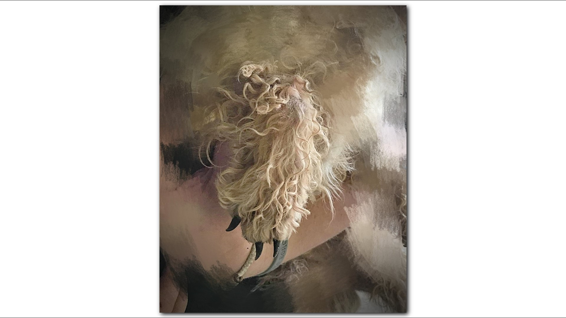 Hidden in plain sight: Sick animals, a jawless dog and a system that ...