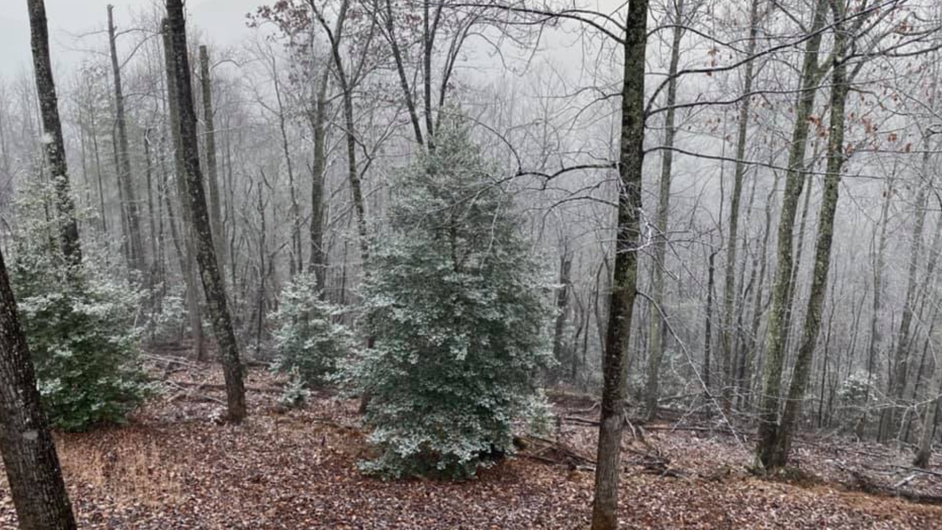 Georgia snow fall on Nov. 30 | 11alive.com