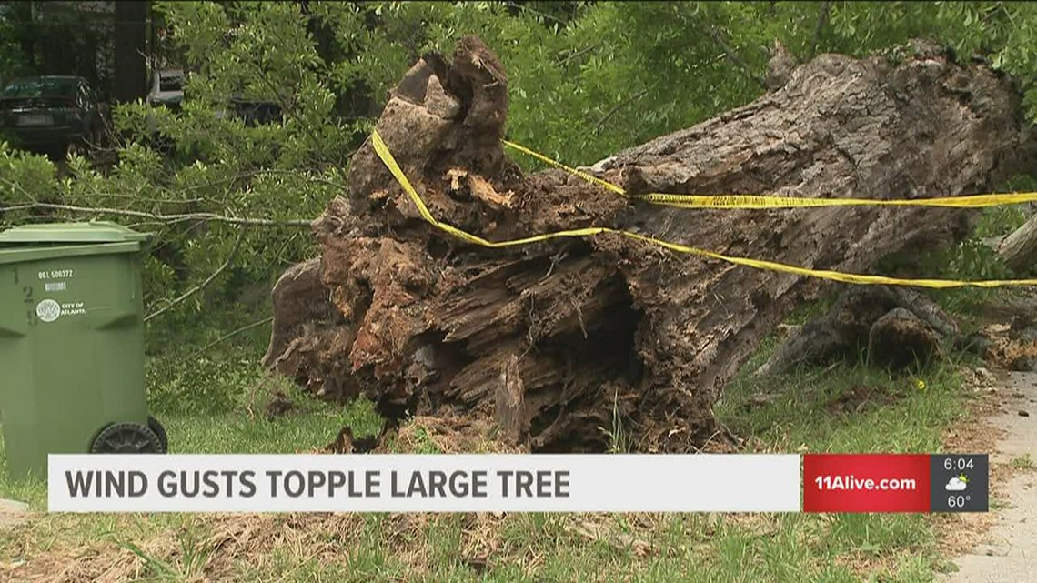Wind gusts topple trees in metro Atlanta | 11alive.com