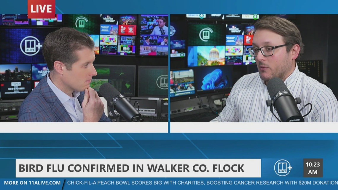 Bird flu confirmed at commercial poultry operation in Walker County ...