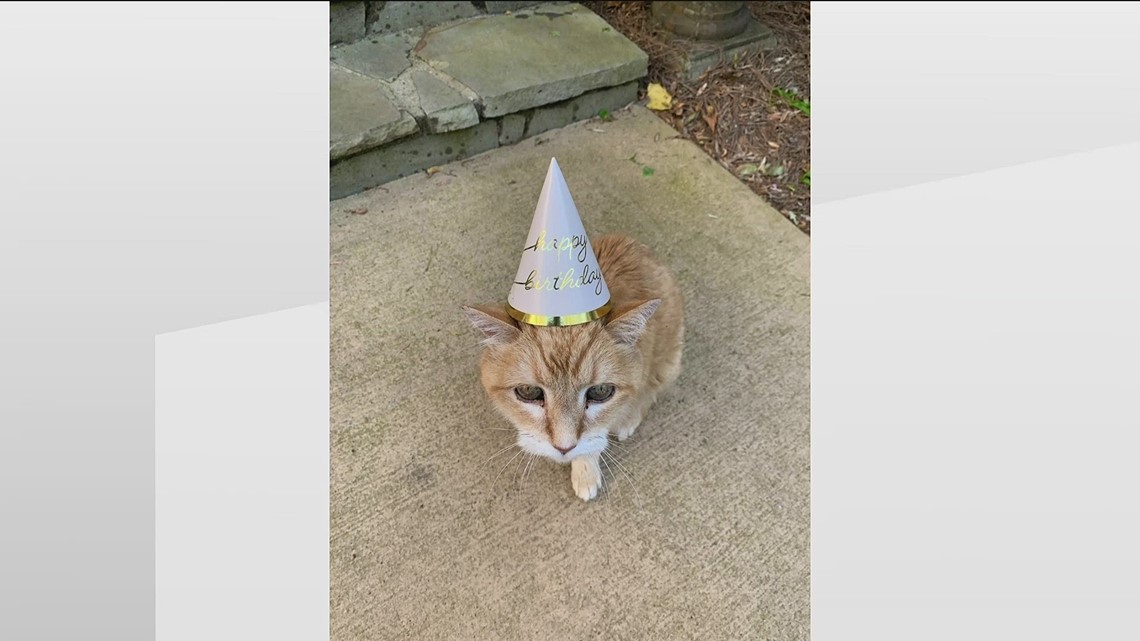 Georgia cat turns 22 | 11alive.com