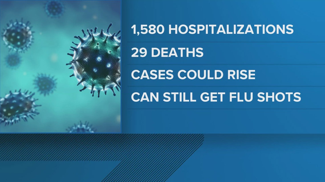 29 deaths in severe flu outbreak in Georgia, health officials say ...