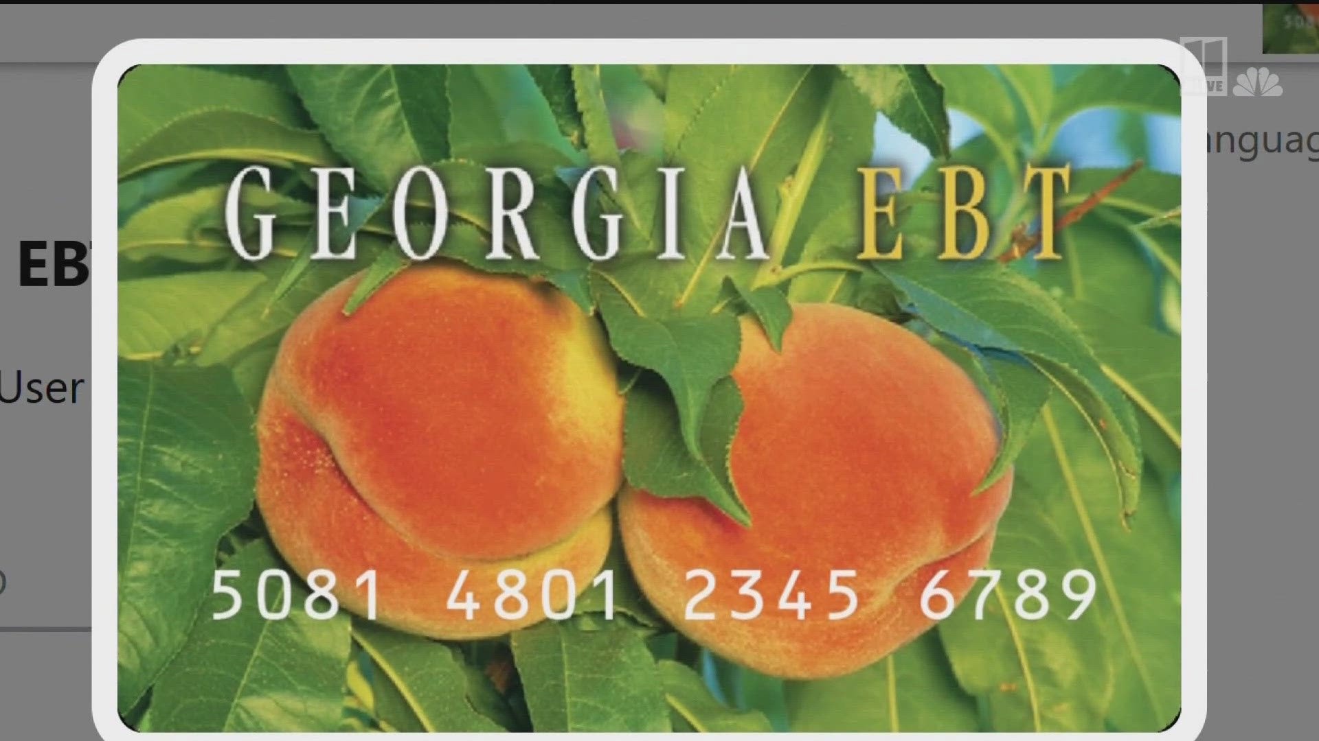 Georgia governor's budget addresses rising SNAP costs, payment error ...