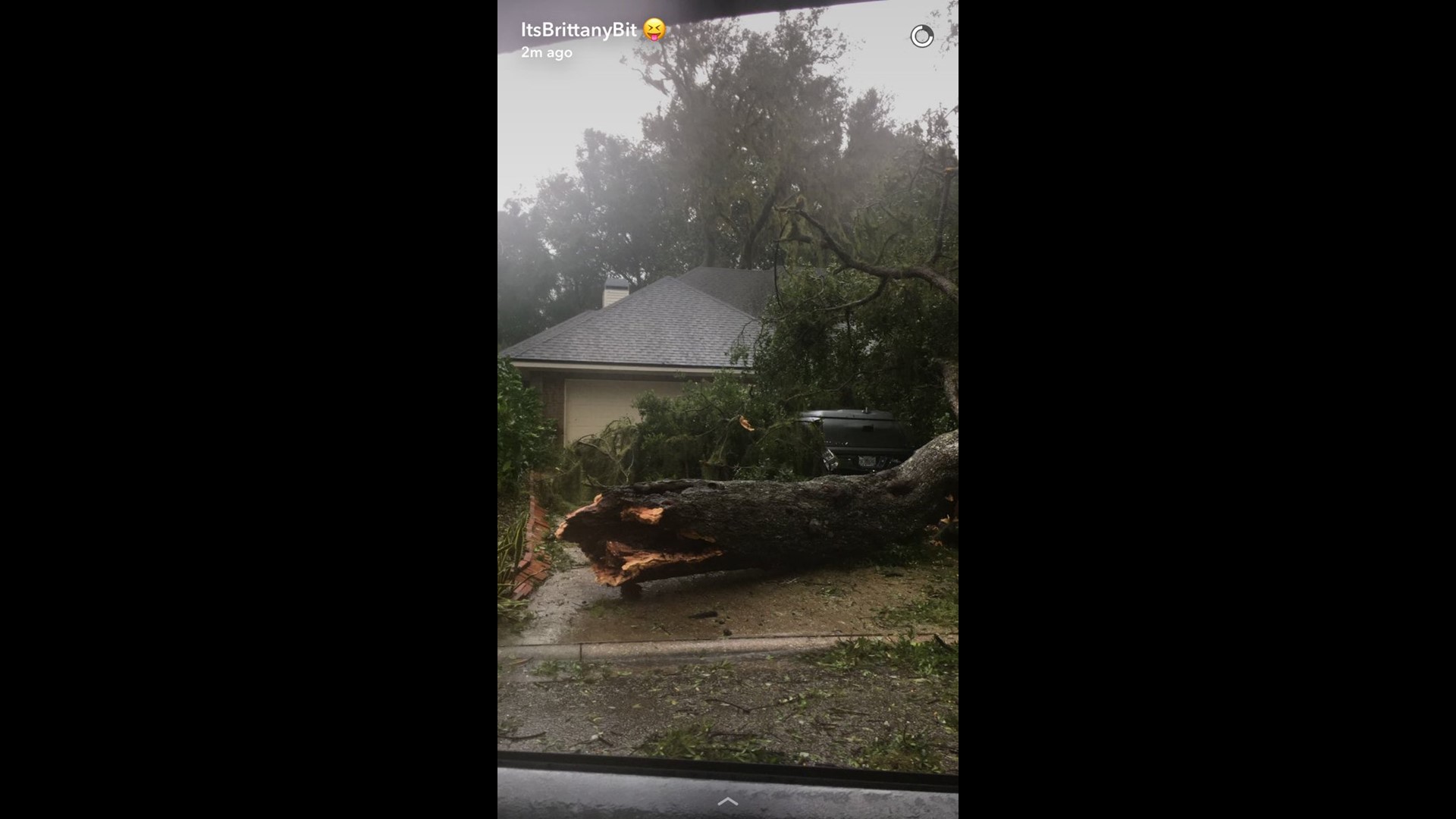 Stork hides from Matthew in bathroom | 11alive.com