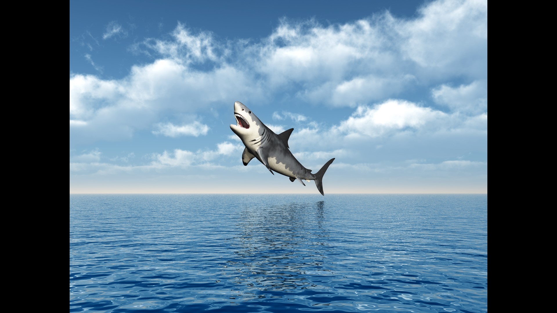 Great Catch! Fisherman catches and releases two huge Great Whites ...