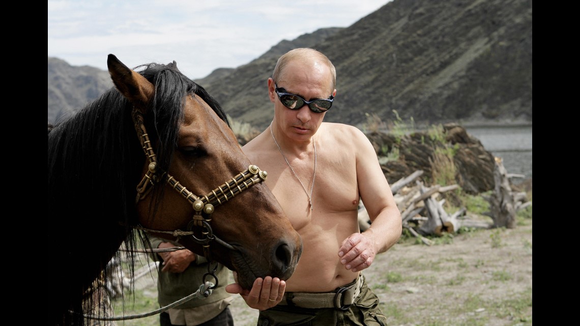 Putin with a kitten among his poses in 2017 calendar | 11alive.com