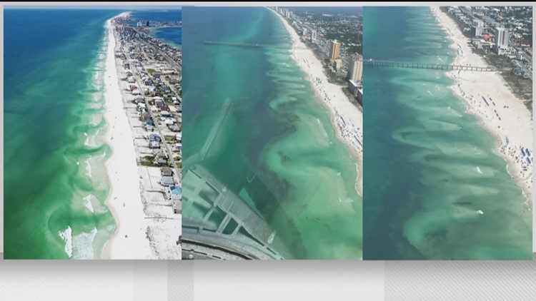 Rip current deaths | How to stay safe | 11alive.com