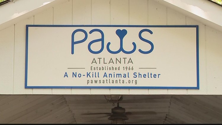PAWS Atlanta facing supply shortages | Here's how you can help ...