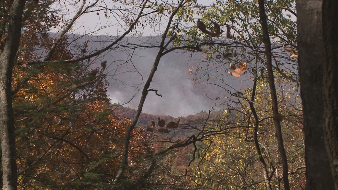 Stiff winds worsen north Georgia wildfires | 11alive.com