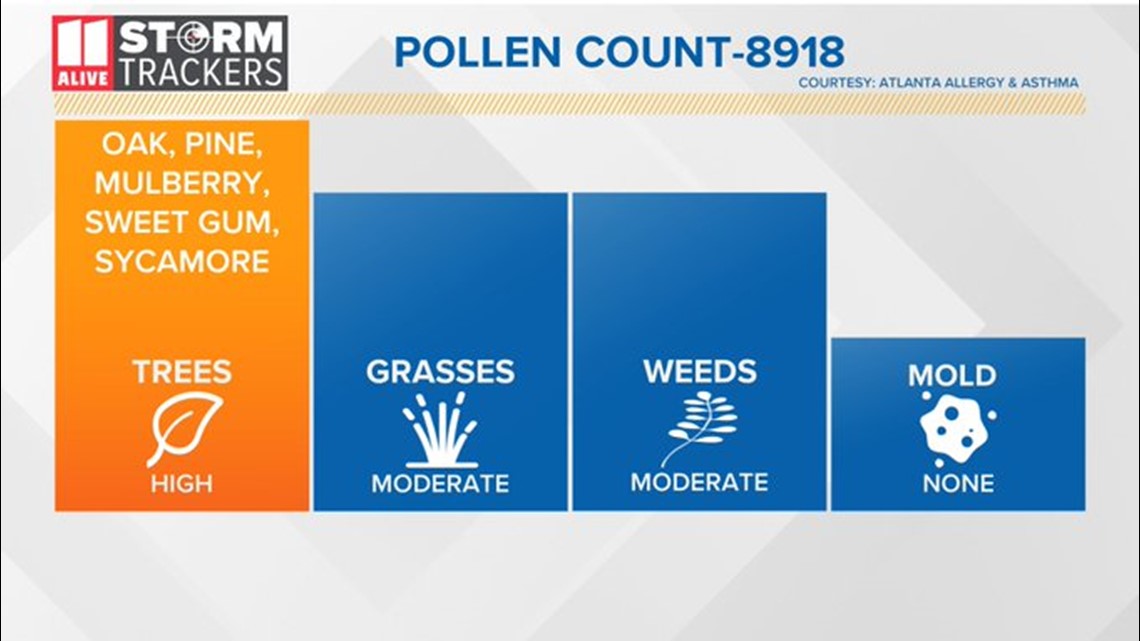 Atlanta hits 2nd highest pollen level | 11alive.com
