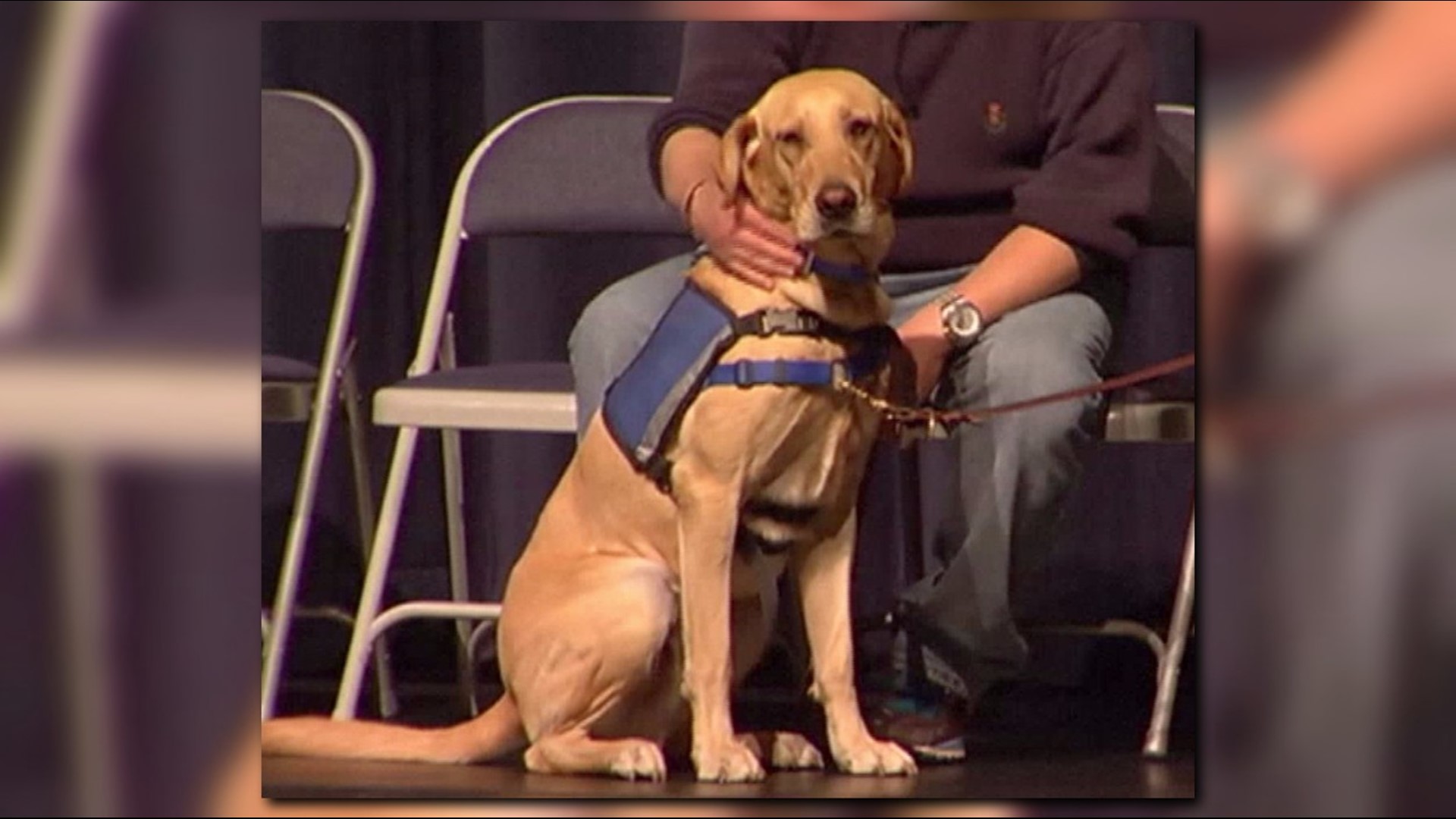 Service dogs graduate in unique ceremony | 11alive.com