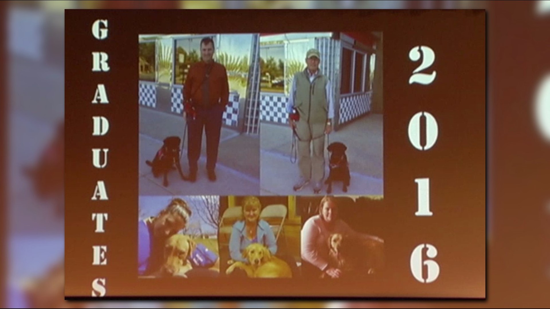 Service dogs graduate in unique ceremony | 11alive.com