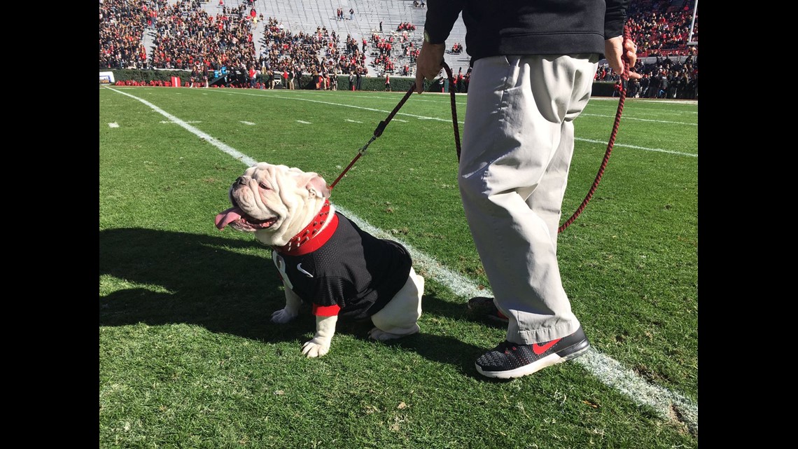 UGA Insider: Grading the Dawgs victory over UL Lafayette | 11alive.com