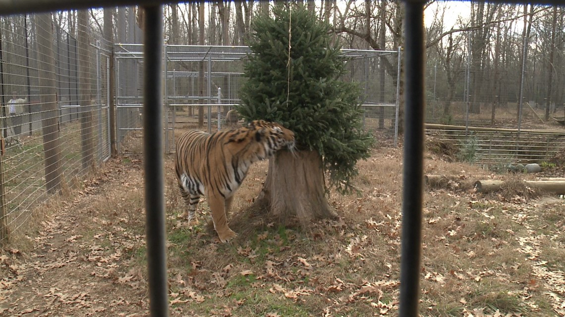 Noah's Ark Animal Sanctuary responds to call for investigation ...