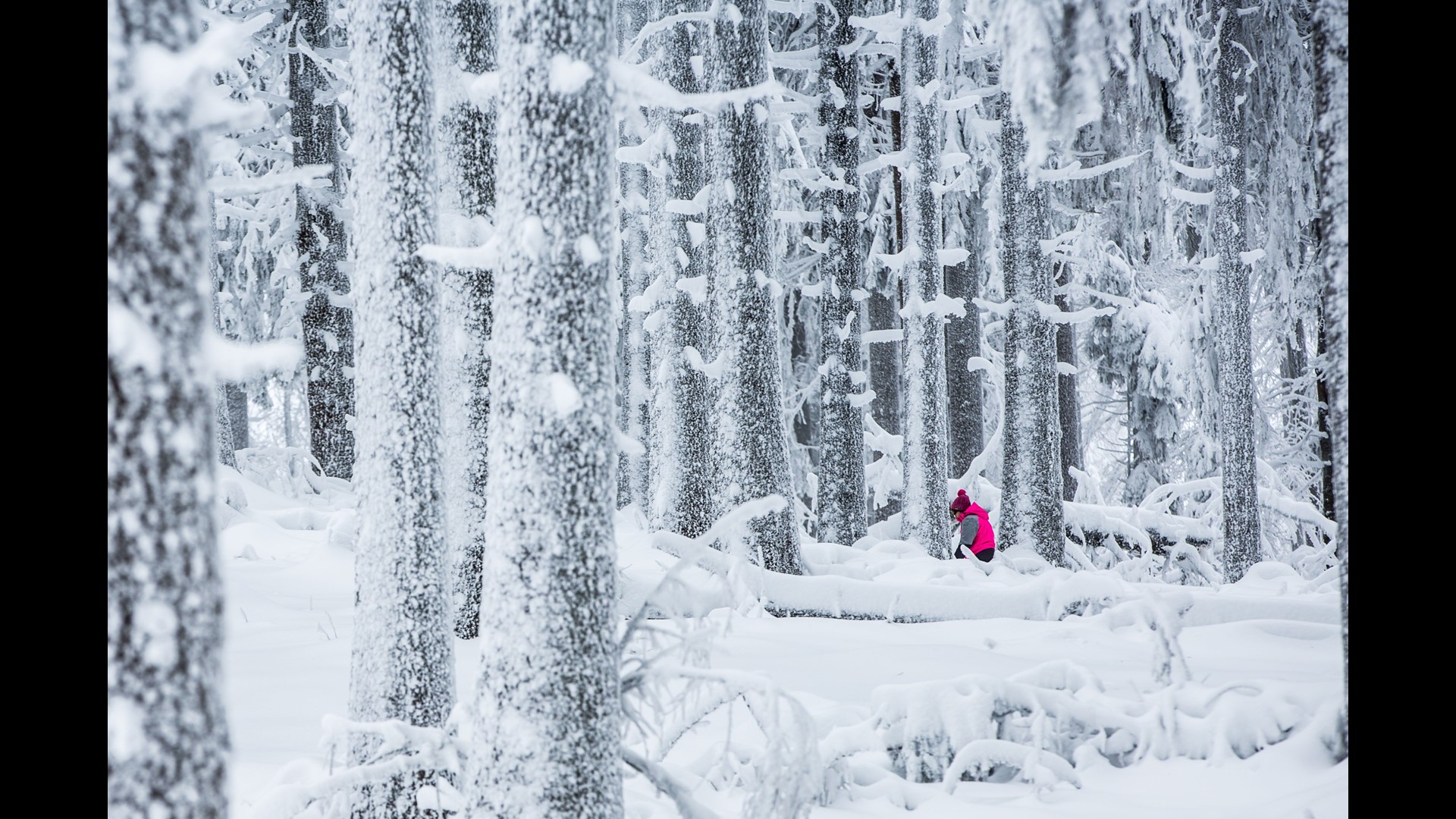 PHOTOS | Snowy pics that'll make you wish it was Atlanta | 11alive.com