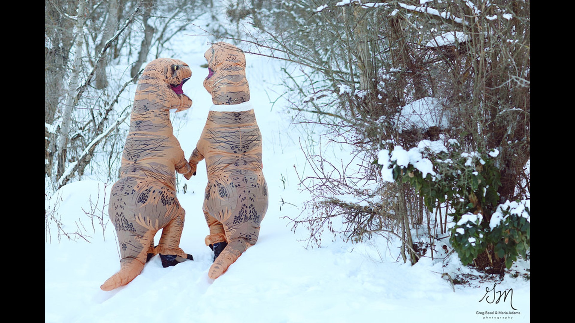 PHOTOS: T-Rex couple poses for photoshoot | 11alive.com